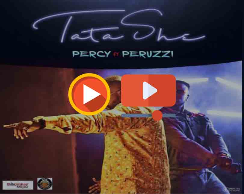 Peruzzi - Hyve.ng